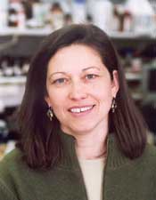 3 to receive Sarah Goddard Power Awards | The University Record