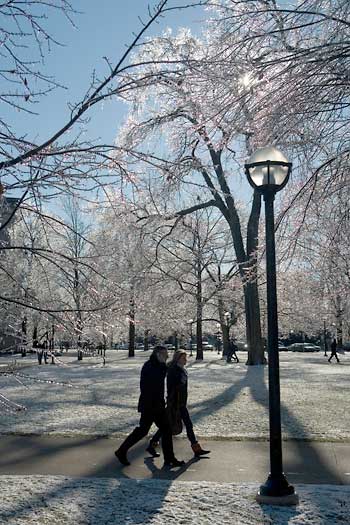 A frozen, shining moment | The University Record